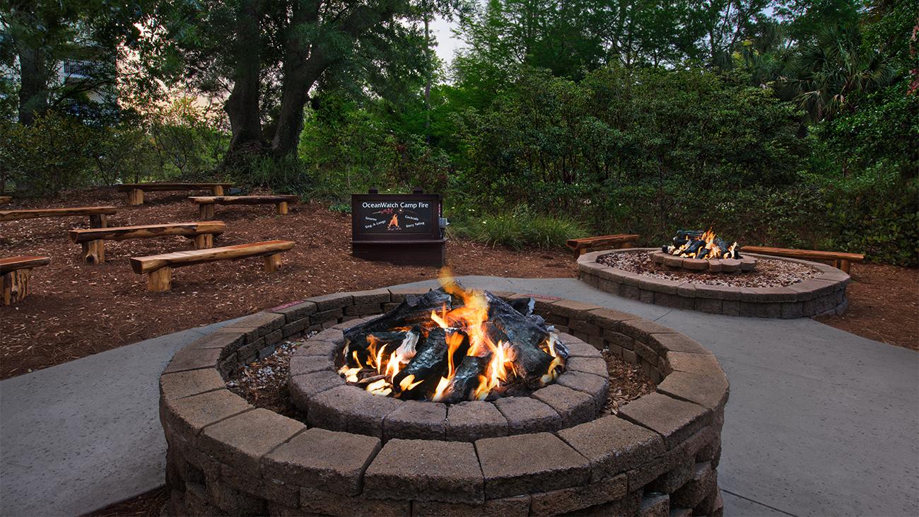 Marriott's OceanWatch