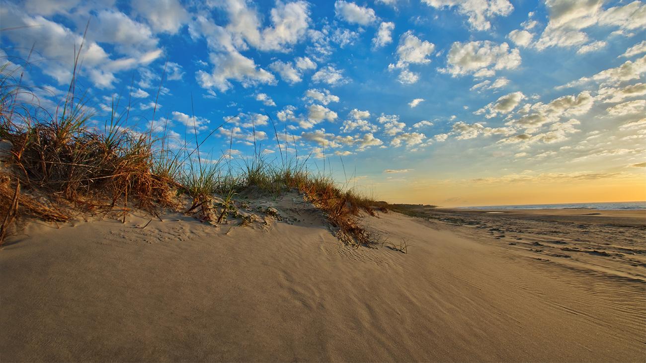 Marriott's SurfWatch®